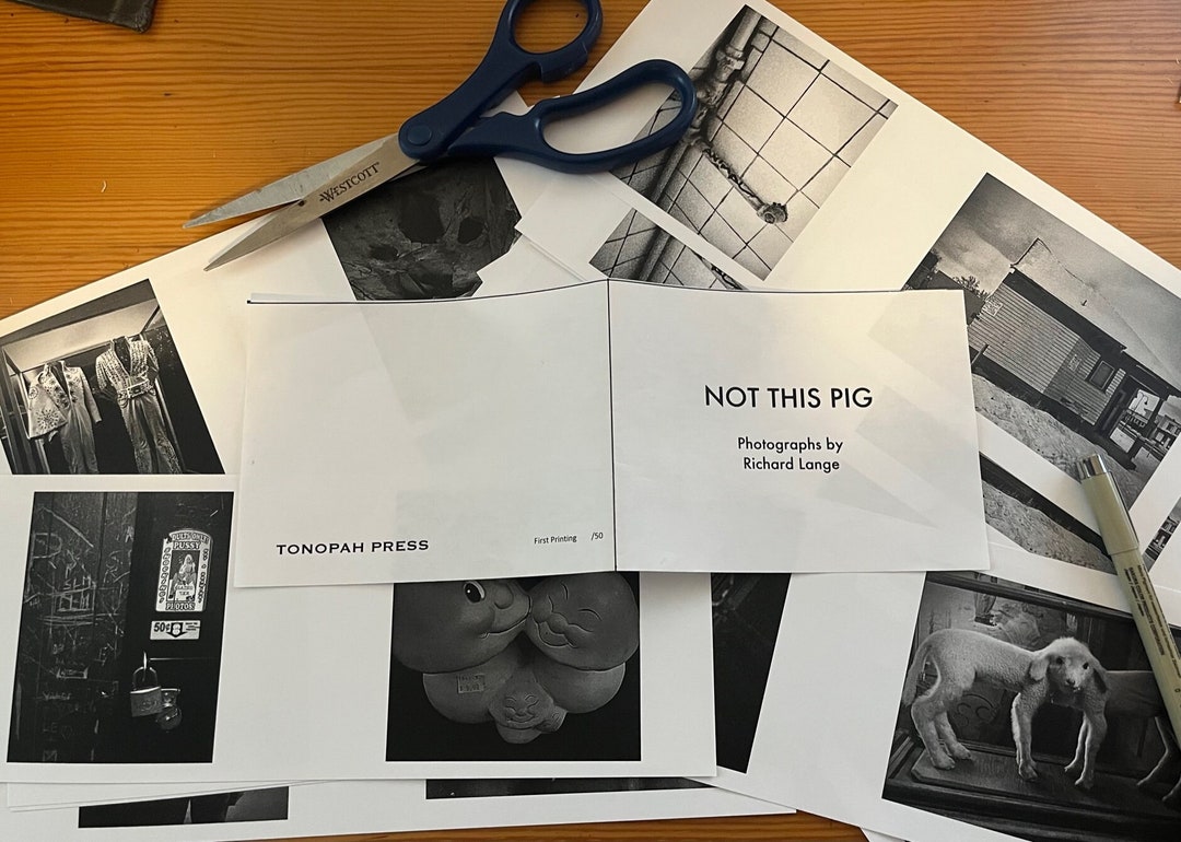 Not This Pig Photo Zine - Etsy