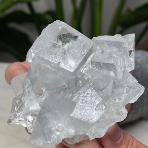 Rare Colorless Cubic Flourite From Inner Mongolia Autonomous Region ...