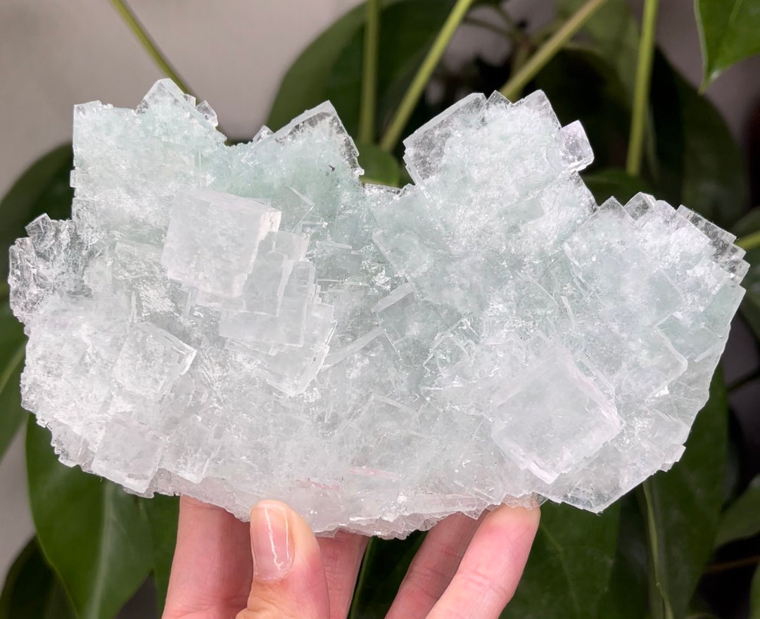 Stunning Light Green Lustrous Slab Halite From Rudna Mine. - Etsy