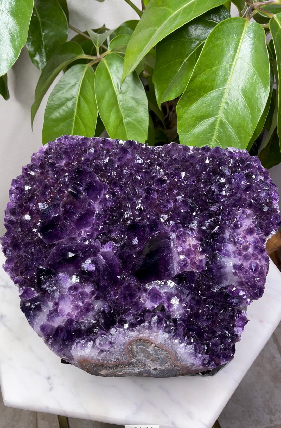 Lustrous Amethyst Display Piece W/ Large Points From Artigas, Uruguay ...