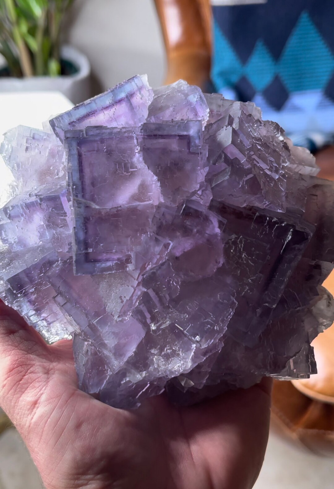 COLLECTOR PIECE Large Gorgeous Fluorite Crystal Specimen La - Etsy New ...
