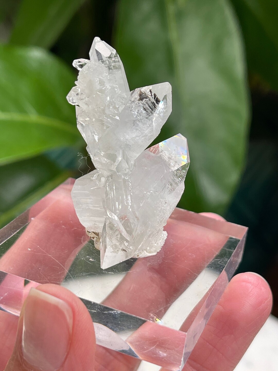 Gorgeous Apophyllite Mini Cluster From India. - Etsy