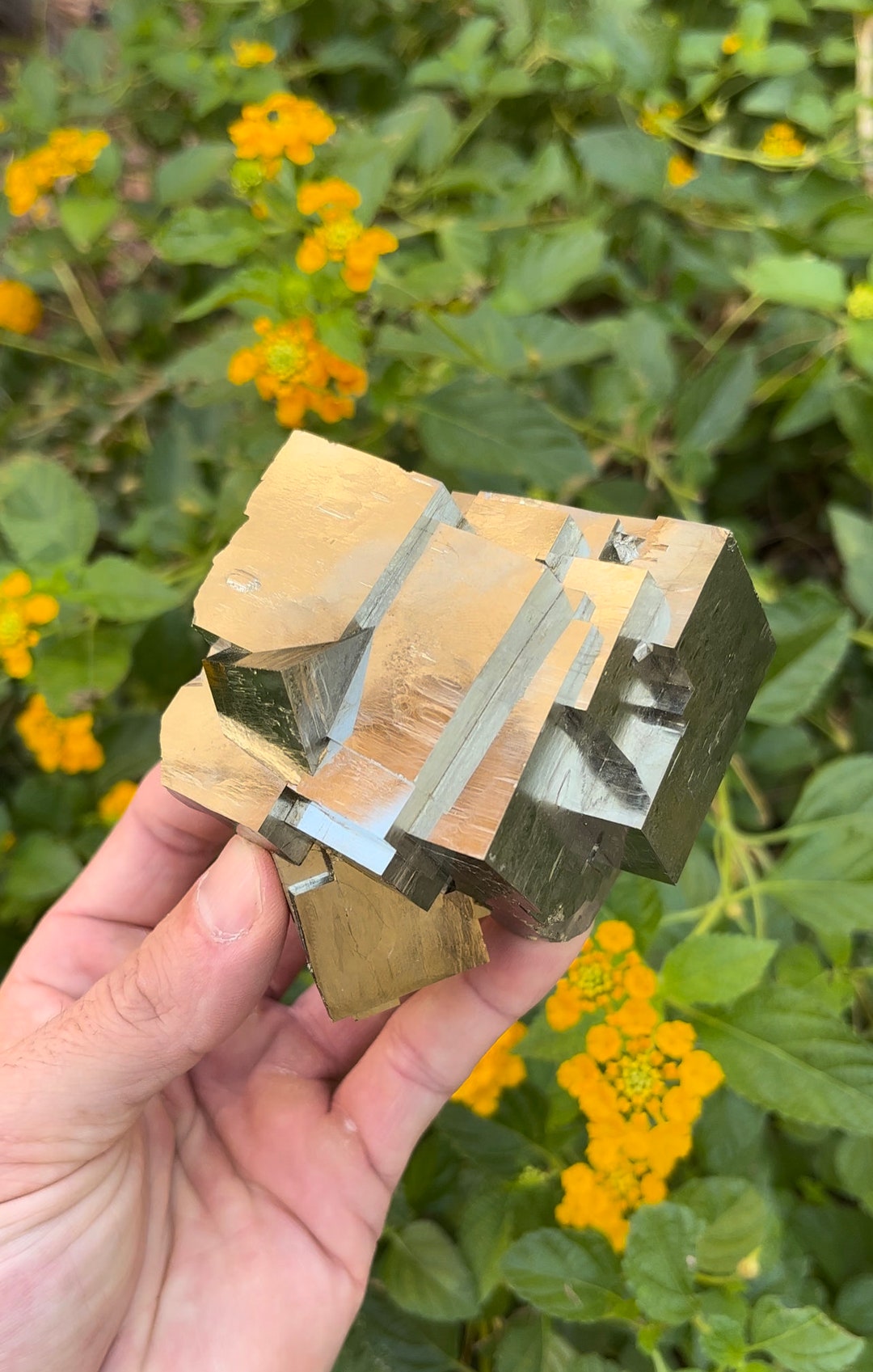 Amazing Pyrite Cubes From Navajún, Spain. - Etsy