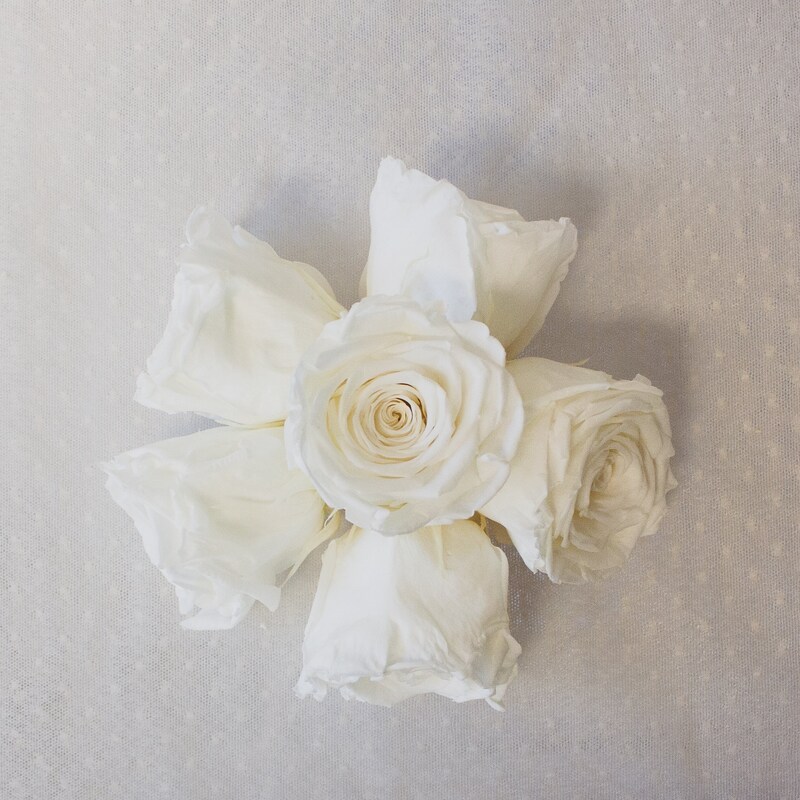 Dried White Roses - Etsy