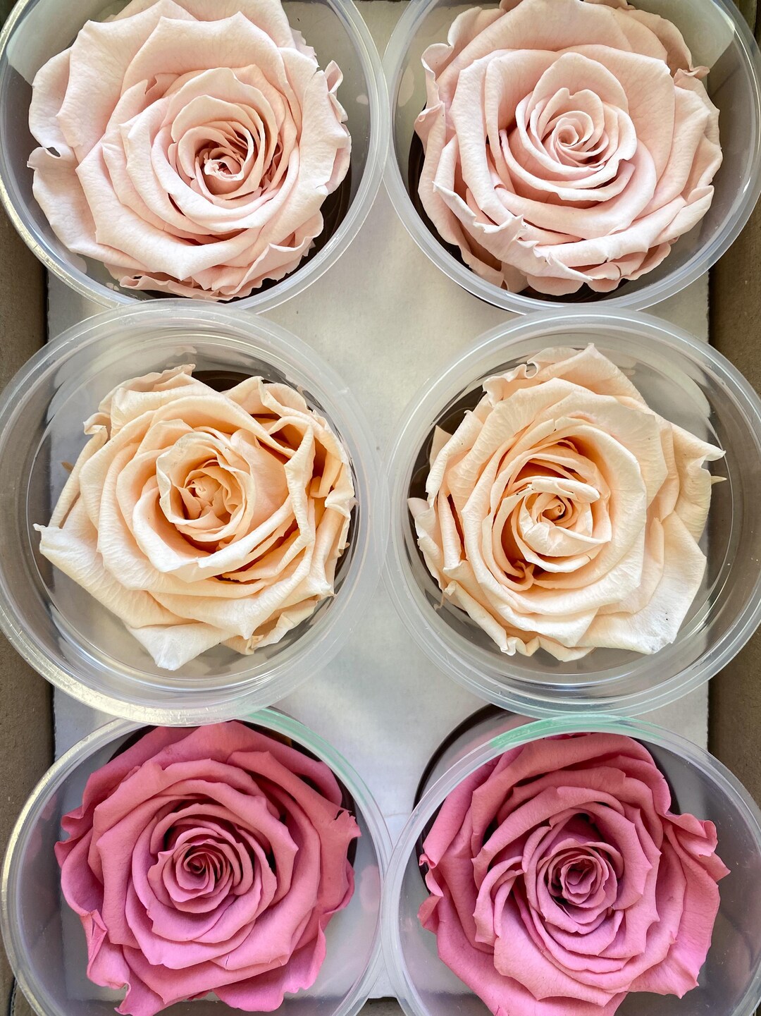 Natural Preserved Rose Blooms (mix) | Roses | Rose Blooms | Rose Buds ...
