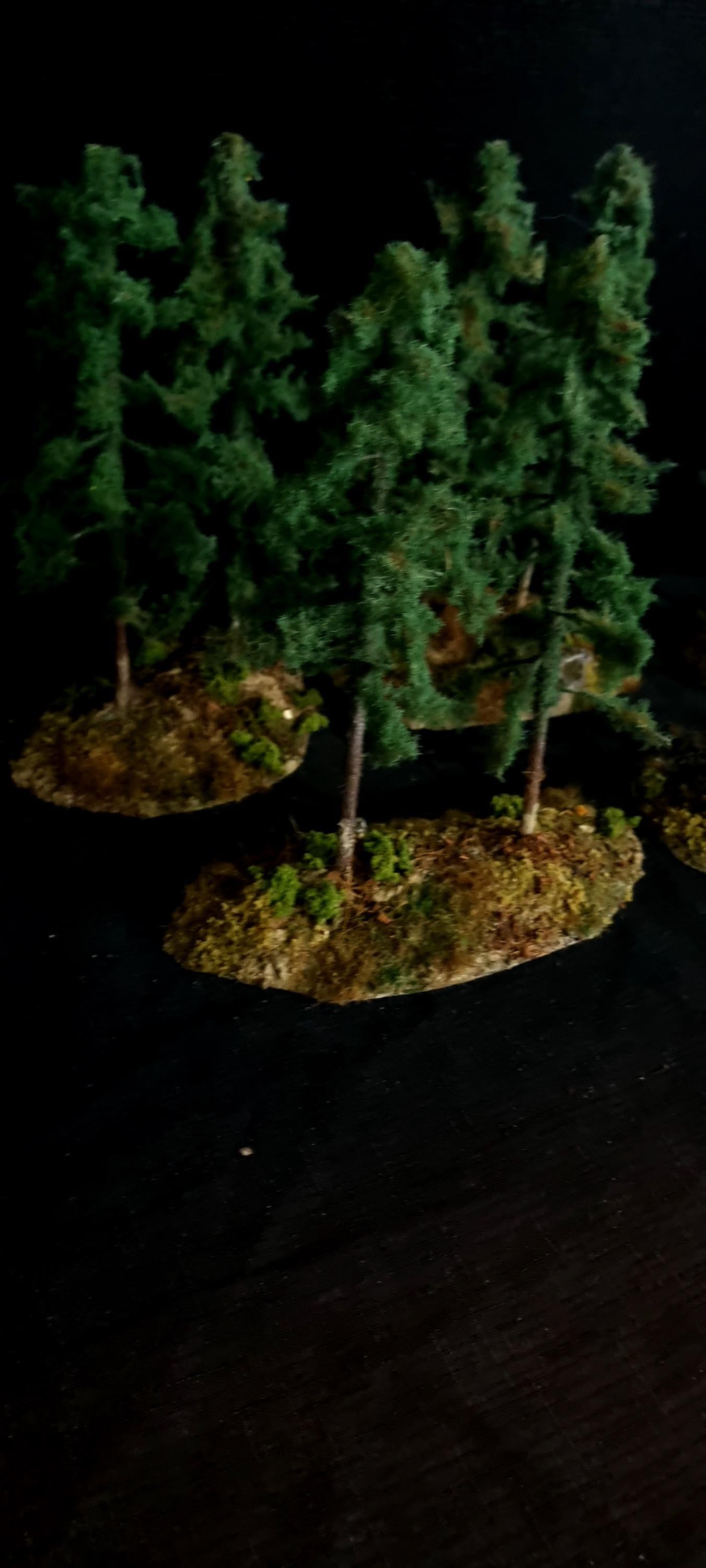 Pine Trees - Terrain for Wargaming, Dnd, Warhammer and Tabletop Gaming ...