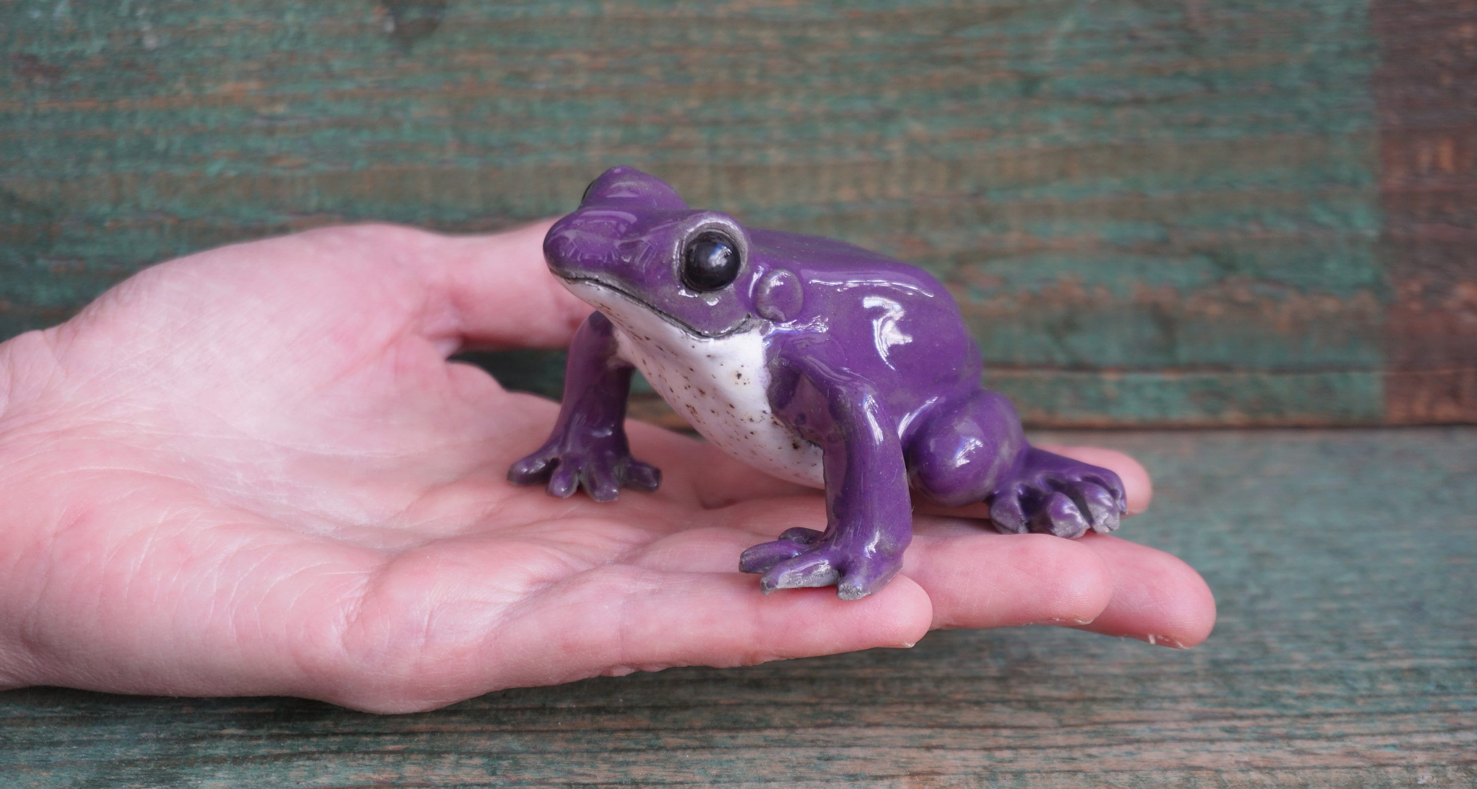 Purple Poison Dart Frogs