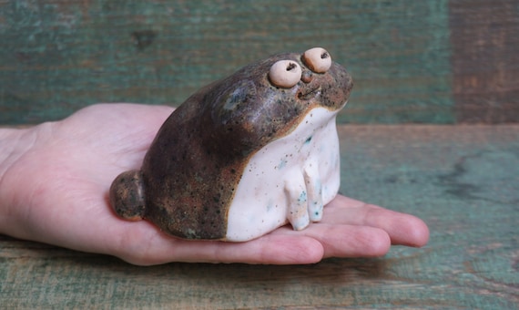 O Sapo Roxo Indiano As Rãs árvores De Olhos Vermelhos Ficam Com Uma