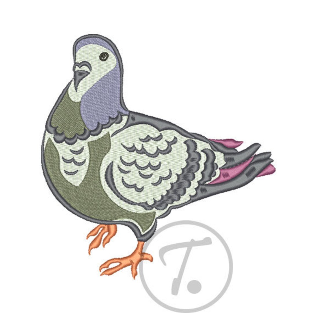 Birds Pigeon Embroidery Design. Domestic Dove in 4 Size. Rock Pigeon ...
