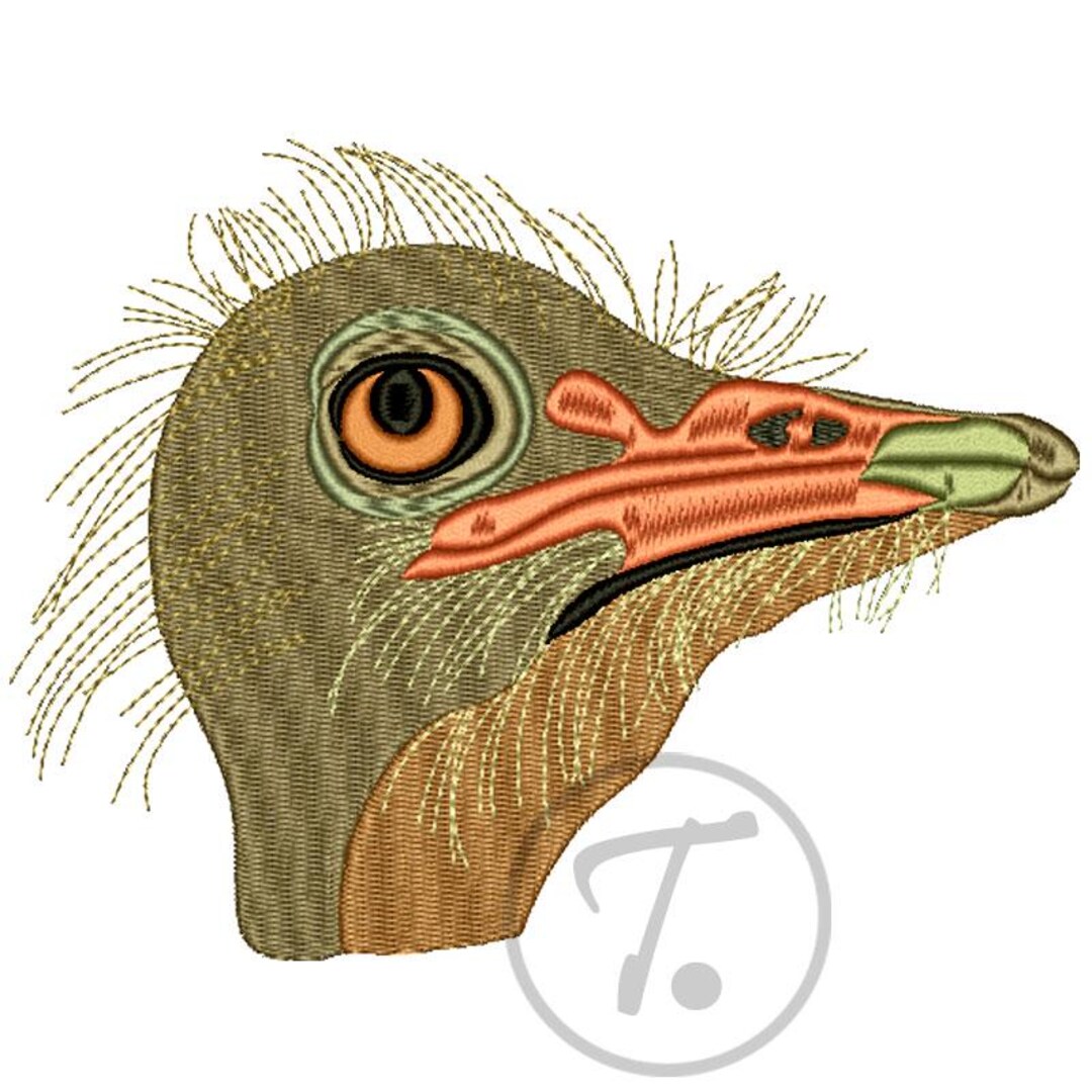 Ostrich Embroidery Design: Animal Bird Pattern (digital Download) - Etsy