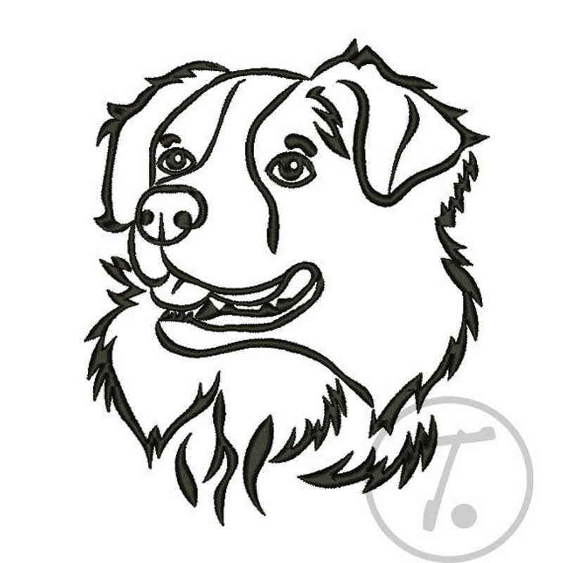 Border Design - Etsy