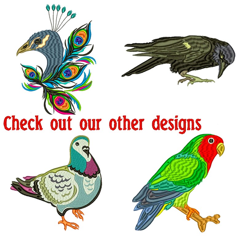 Macaw Parrot Embroidery Design: Colorful Bird Pattern (3x3 to 6x10 Hoop ...