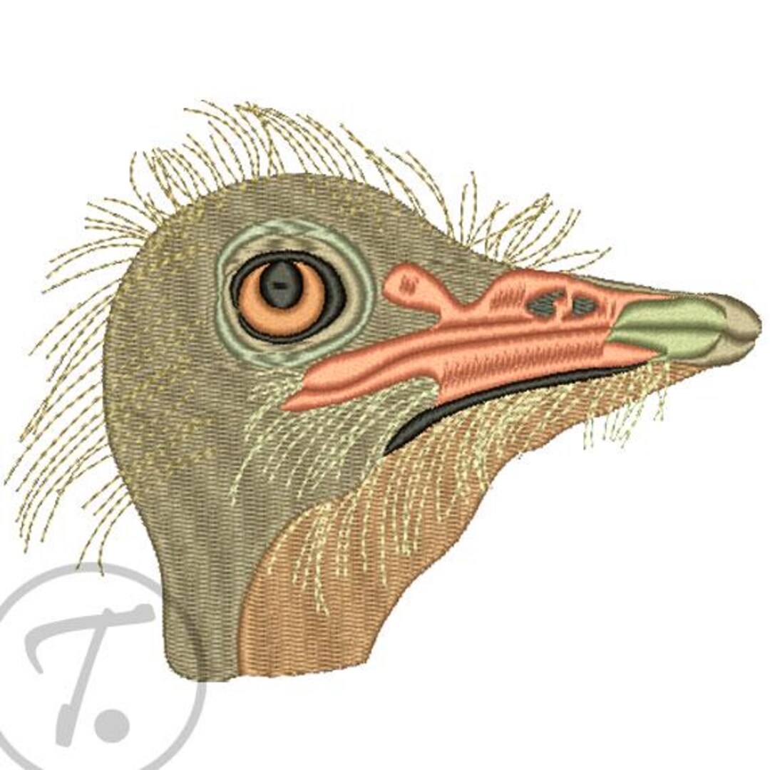 Bird Embroidery. Ostrich Design in 4 Size. Animal Embroidery Design ...