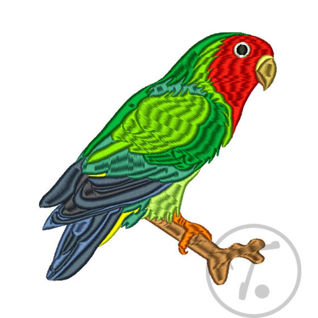 Bird Embroidery Design in 4 Size. Macaw Parrot. Parrot Embroidery ...