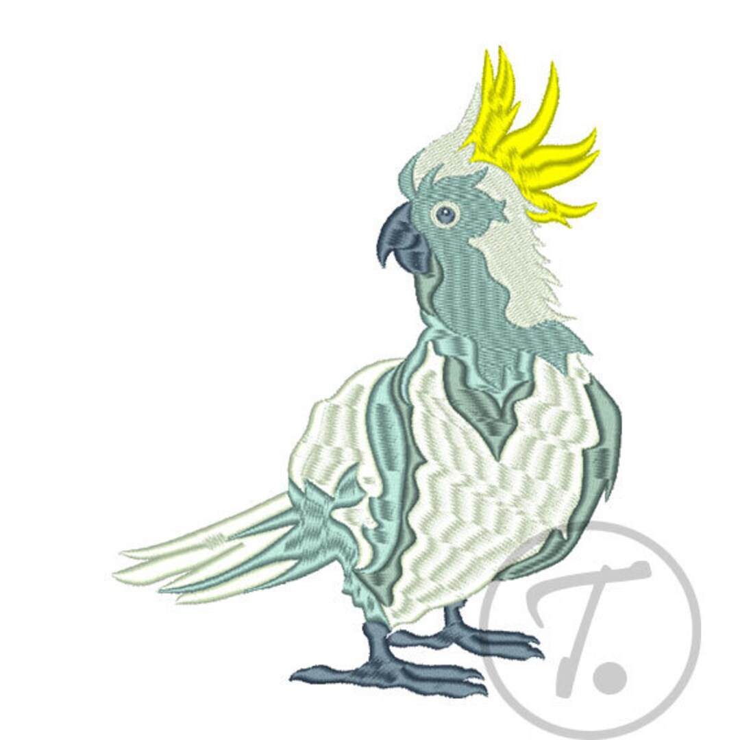 Bird Embroidery Design. Cockatoo Parrot in 4 Size. Embroidery of Parrot ...