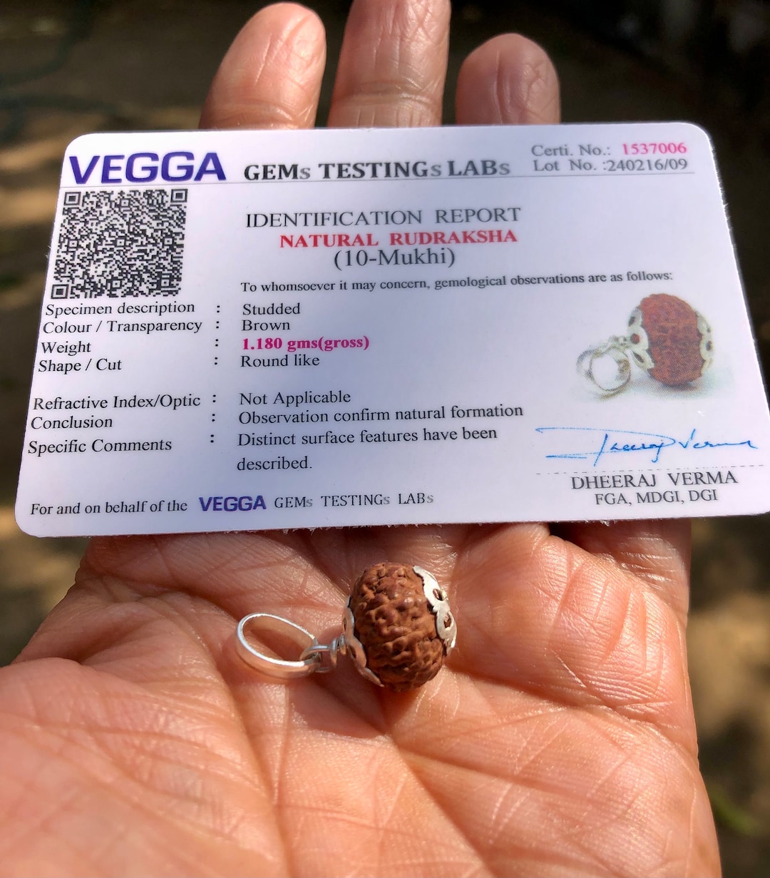 Lab Certified 925 Silver + 10 Mukhi RUDRAKSHA Rudraksh 10 Face ...