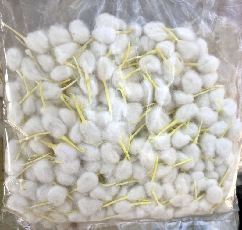 500 Pc COTTON WICKS Rui Batti Phool Baati Pooja Diya Batti Big Size ...
