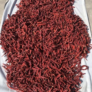 Red Chilli POWDER Lal Mirch Mirchi Sabut100 Gms/ 200 Gms/ 500 - Etsy