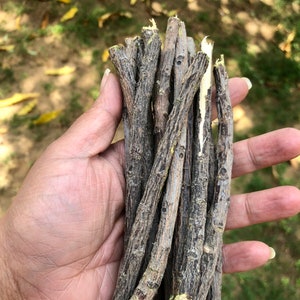 10 Pc- 100 Pc Neem Sticks Azadirachta Indica Sticks DATUN for Teeth and ...