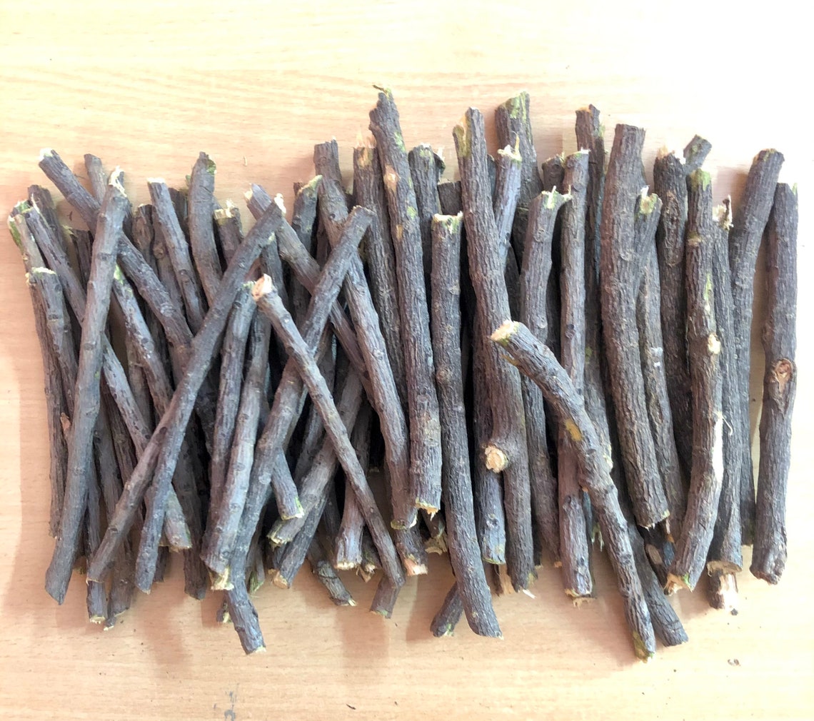 10 Pc 100 Pc Neem Sticks Azadirachta Indica Sticks DATUN for | Etsy