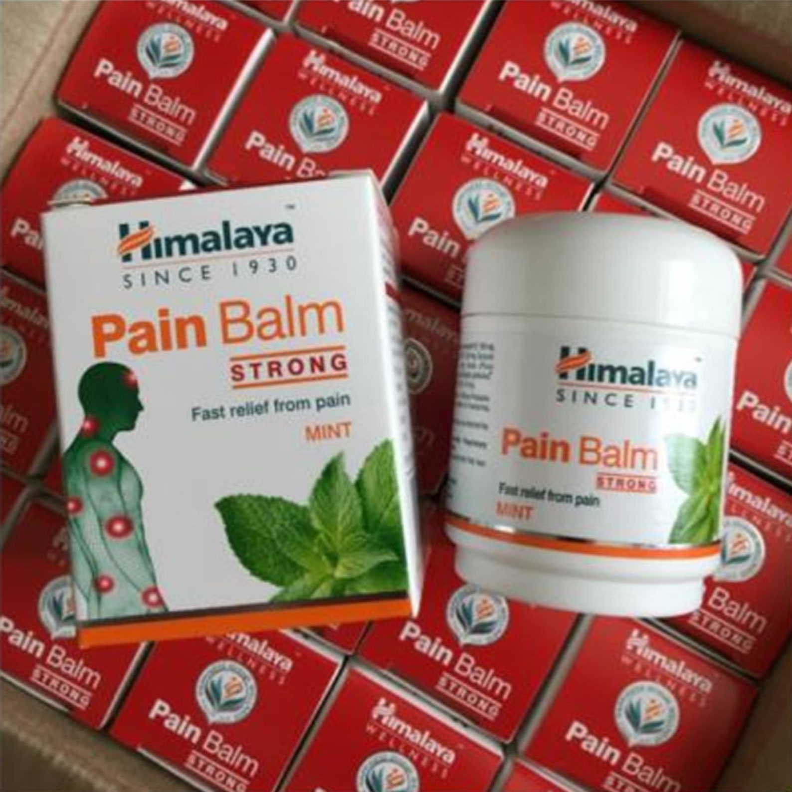 Himalaya Herbals PAIN BALM With Mint 45 Grams Free Shipping - Etsy