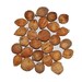 1 Pc 51 Pc LAGHU NARIYAL Sriphal small Coconut for Wealth - Etsy