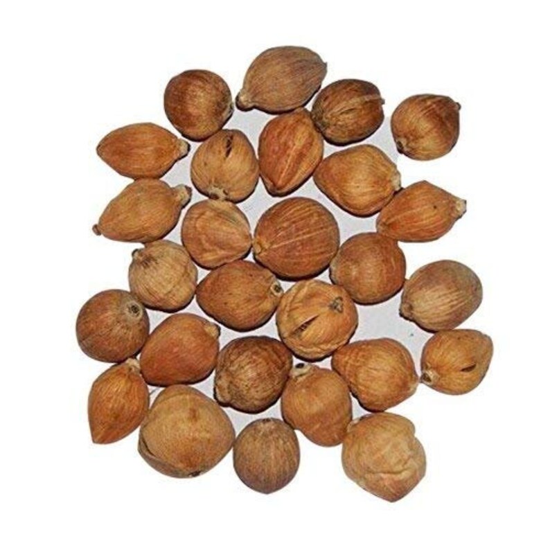 1 Pc 51 Pc LAGHU NARIYAL Sriphal small Coconut for Wealth - Etsy