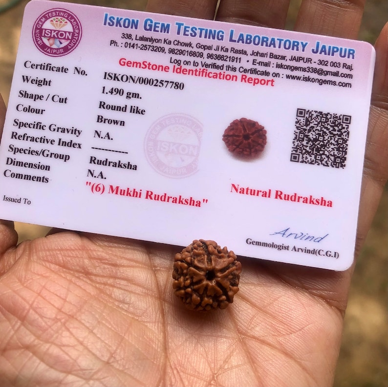 LAB CERTIFIED 6 Mukhi RUDRAKSHA Chah Mukhi Rudraksh 1 Piece, 6 Face ...