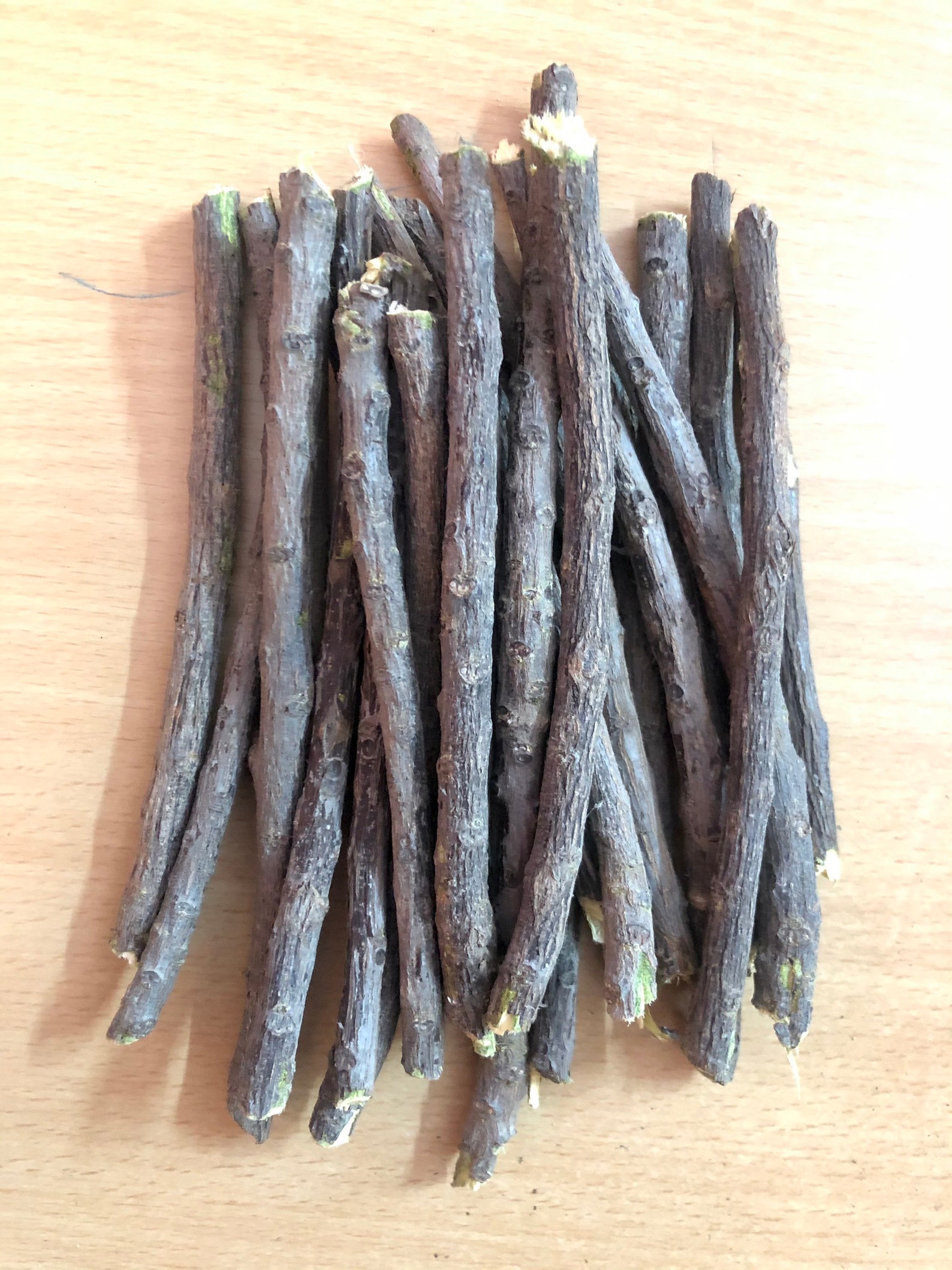 10 Pc 100 Pc Neem Sticks Azadirachta Indica Sticks DATUN for | Etsy