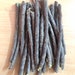 10 Pc 100 Pc Neem Sticks Azadirachta Indica Sticks DATUN for - Etsy