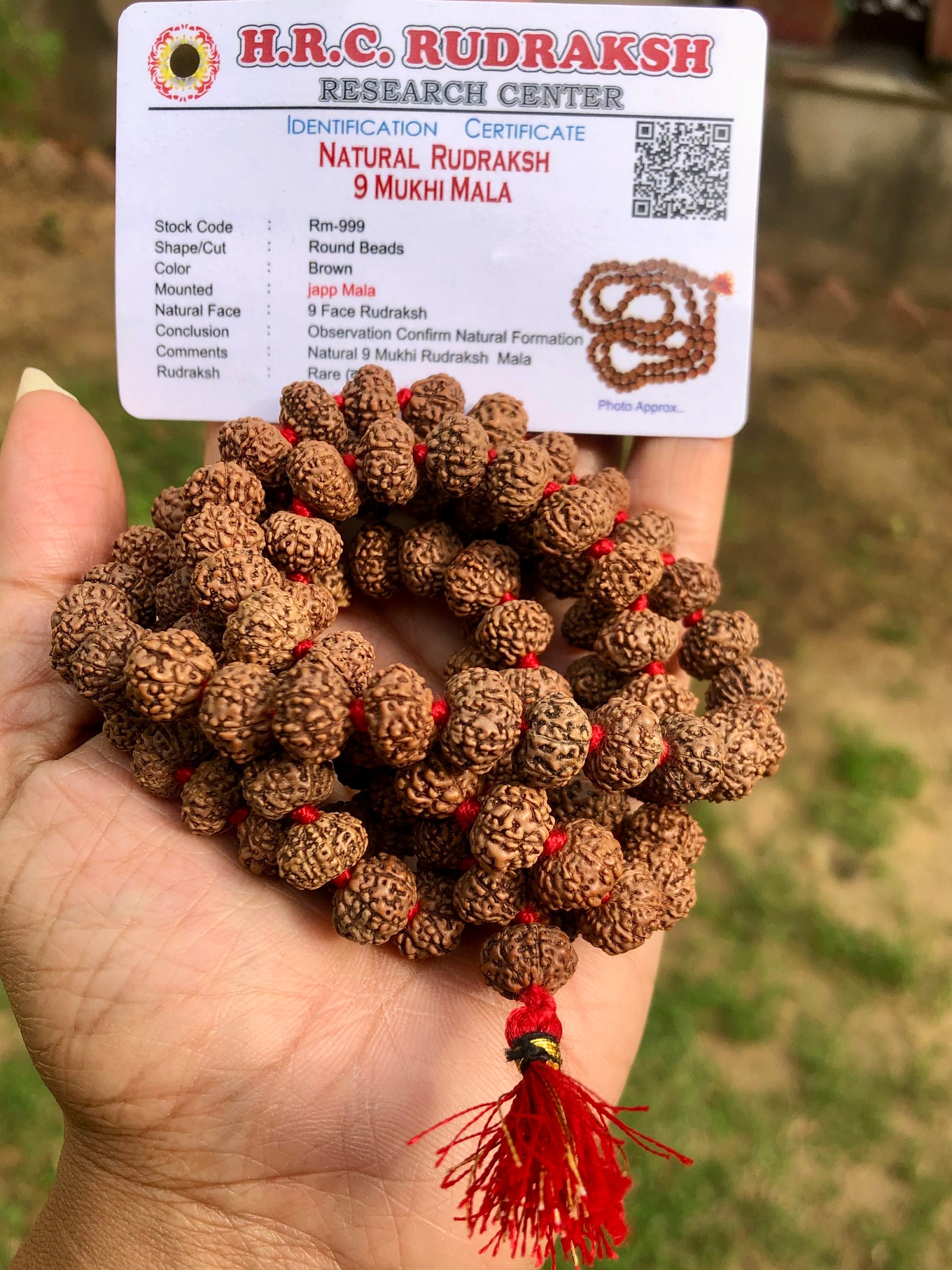Rare Rudraksha Mala