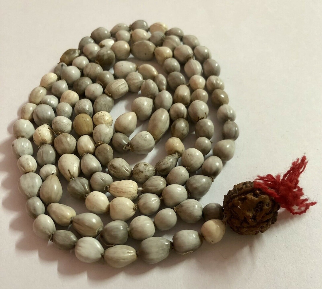 Indian VAIJANTI BEEJ Mala Vaijayanti Seed ROSARY Job's Tears Mala, 100 ...