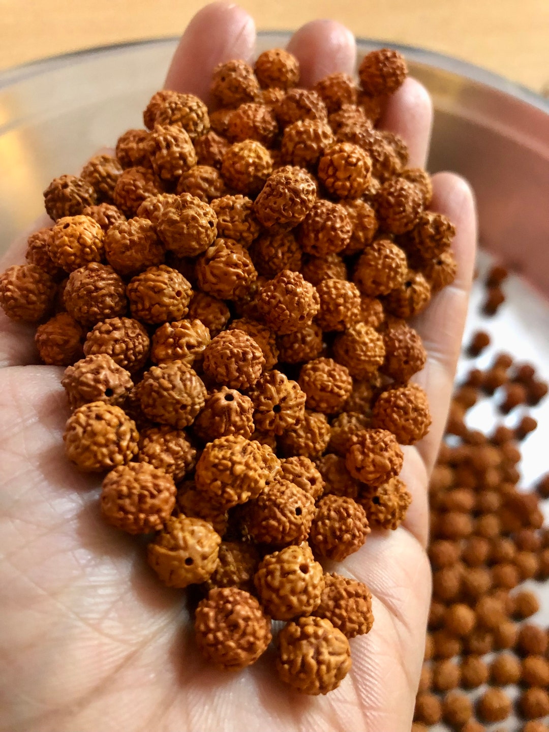 111 Pc Loose Rudraksha Seeds Beads Nepal Origin, Natural 5 Mukhi 10 Mm ...