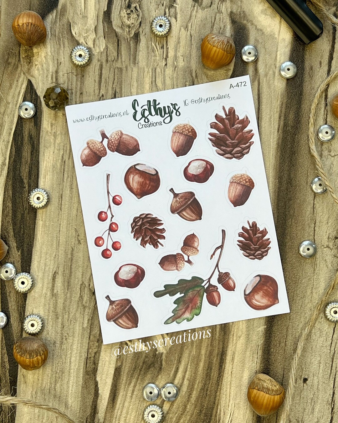 Nuts Stickers Autumn Stickers Hazelnuts Acorns Pine Cones - Etsy