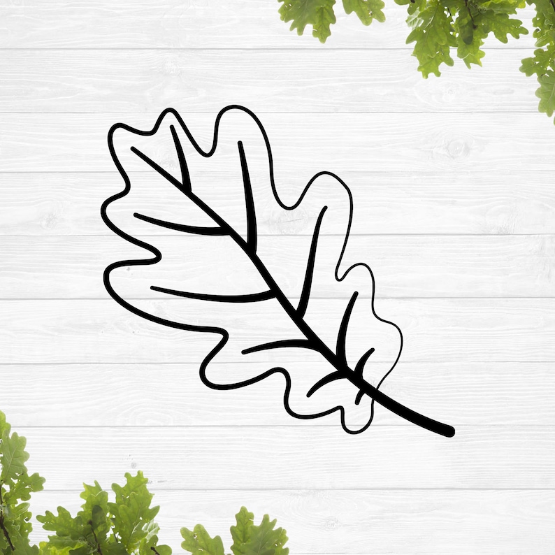 Oak Leaf Svg Acorn Svg - Etsy