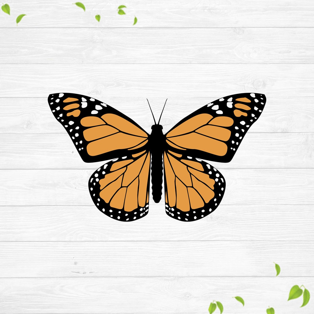 Butterfly Svg File, Monarch Butterfly Layered Svg Design, Digital File ...