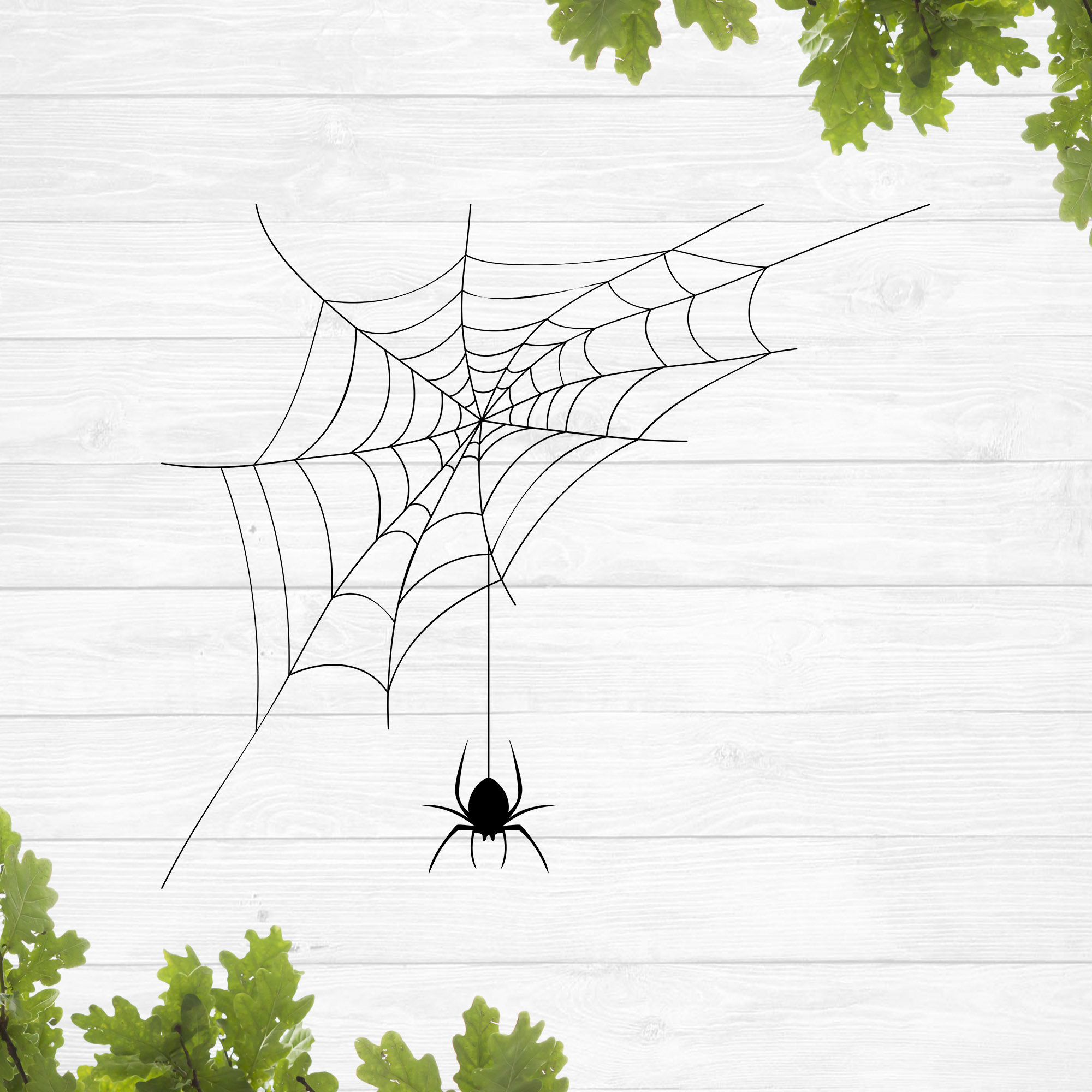 Realistic Corner Spider Web Svg - Etsy