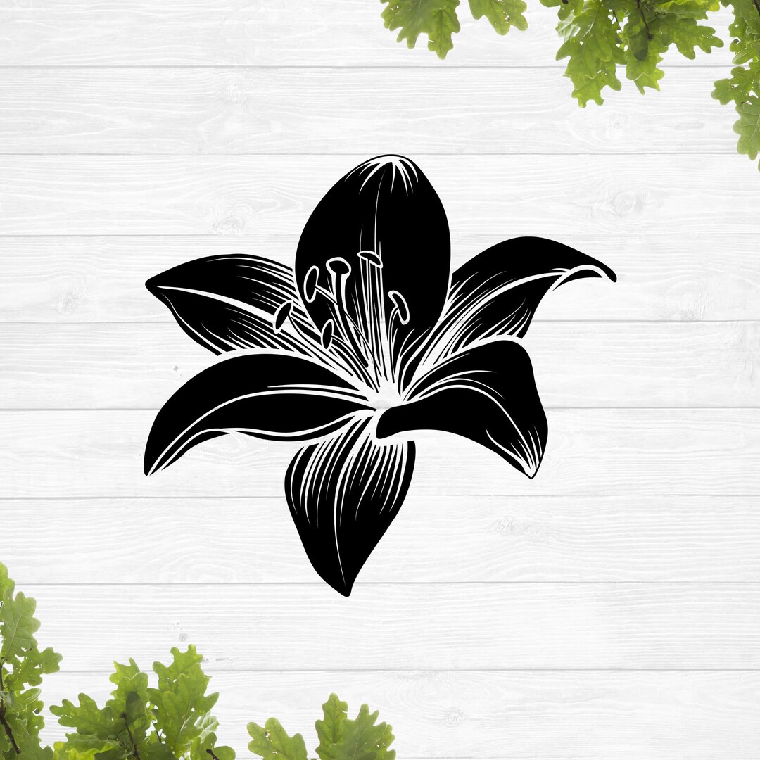SVG, Tiger Lily Svg, Stargazer Lily Svg, Lily Svg, Lilies Svg, Calla ...