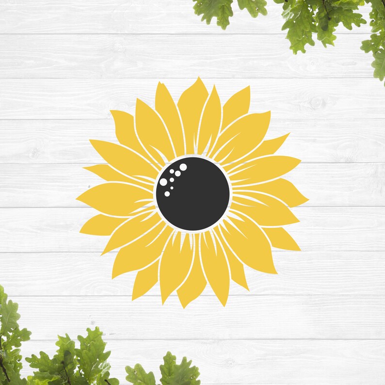 Sunflower Svg Sunflower Outline Svg Simple Sunflower Svg - Etsy