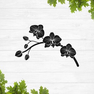 Orchid Svg, Orchids Flower Svg, Wildflower Svg, Spring Flowers Svg ...