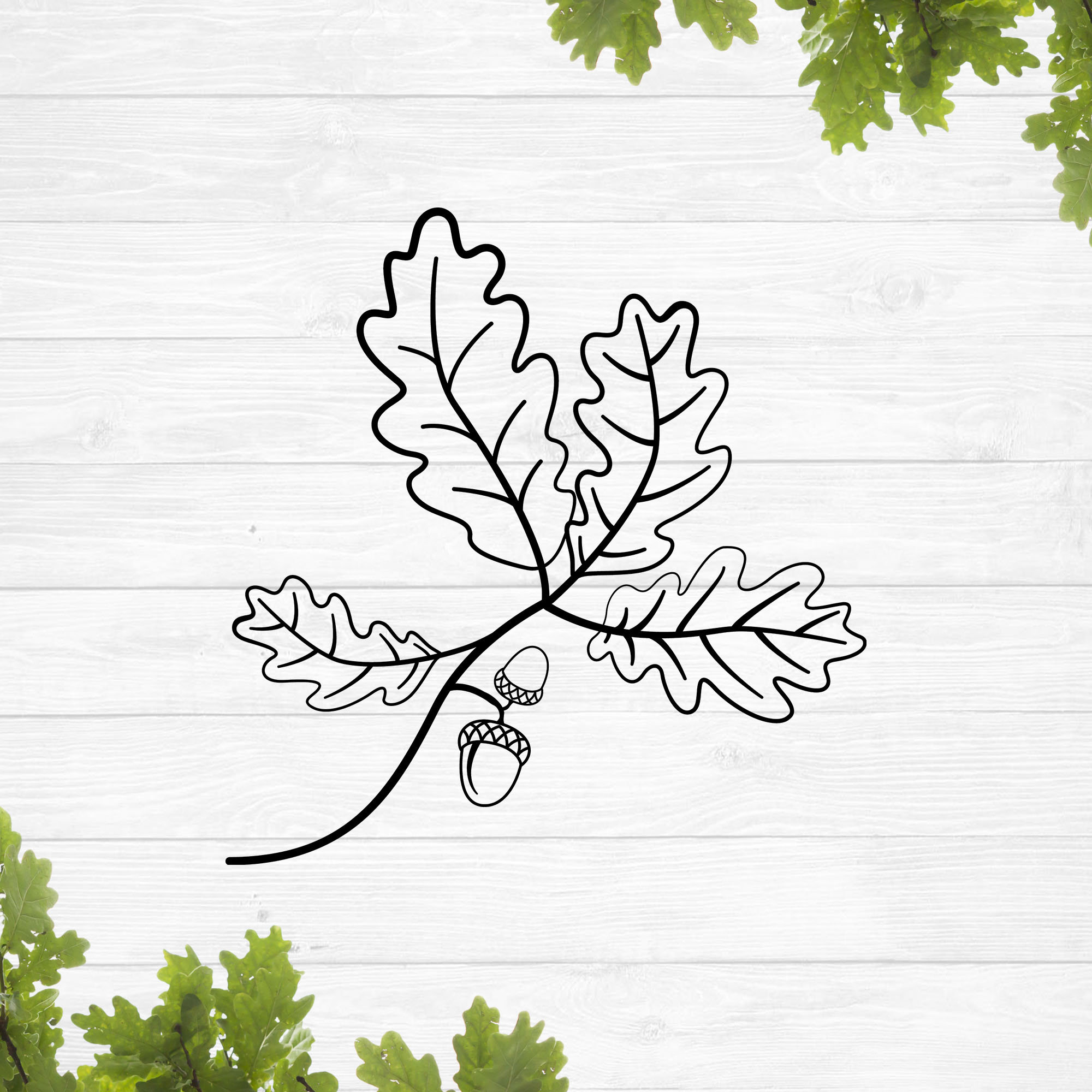 Oak Leaf Svg Acorn Svg - Etsy
