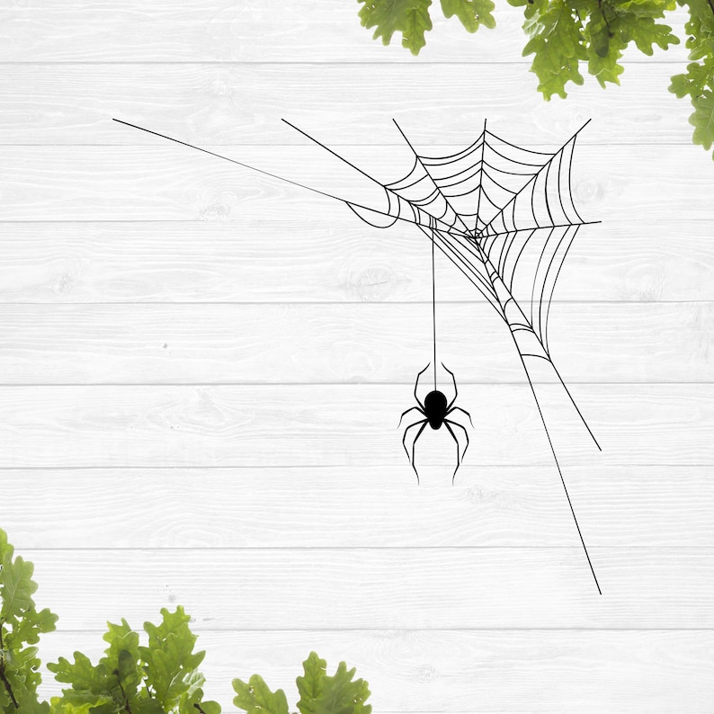 Realistic Corner Spider Web Svg | Etsy