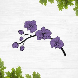 Orchid Svg, Orchids Flower Svg, Wildflower Svg, Spring Flowers Svg ...