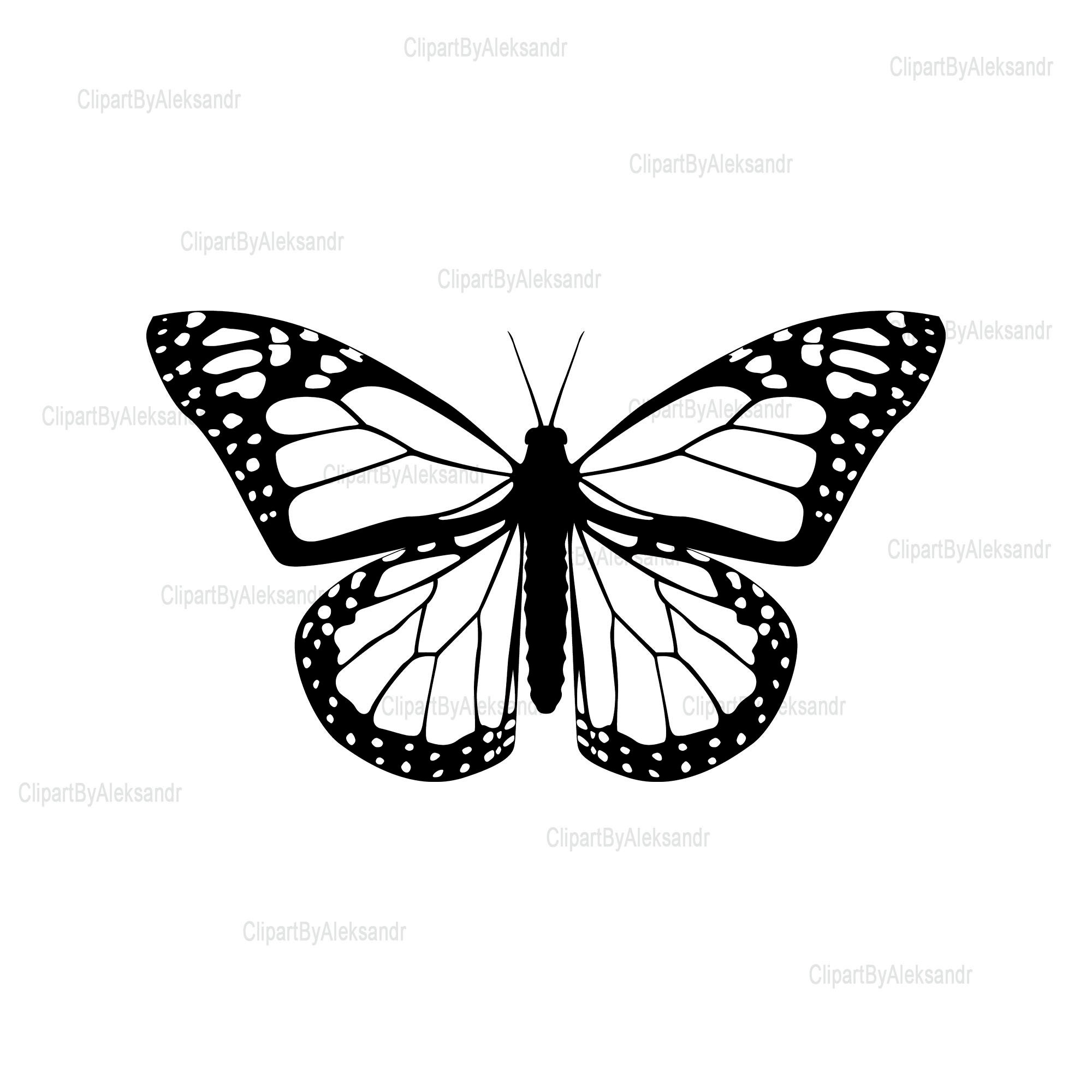 Monarch Butterfly Svg Butterfly Svg Simple Butterfly Svg | Etsy India