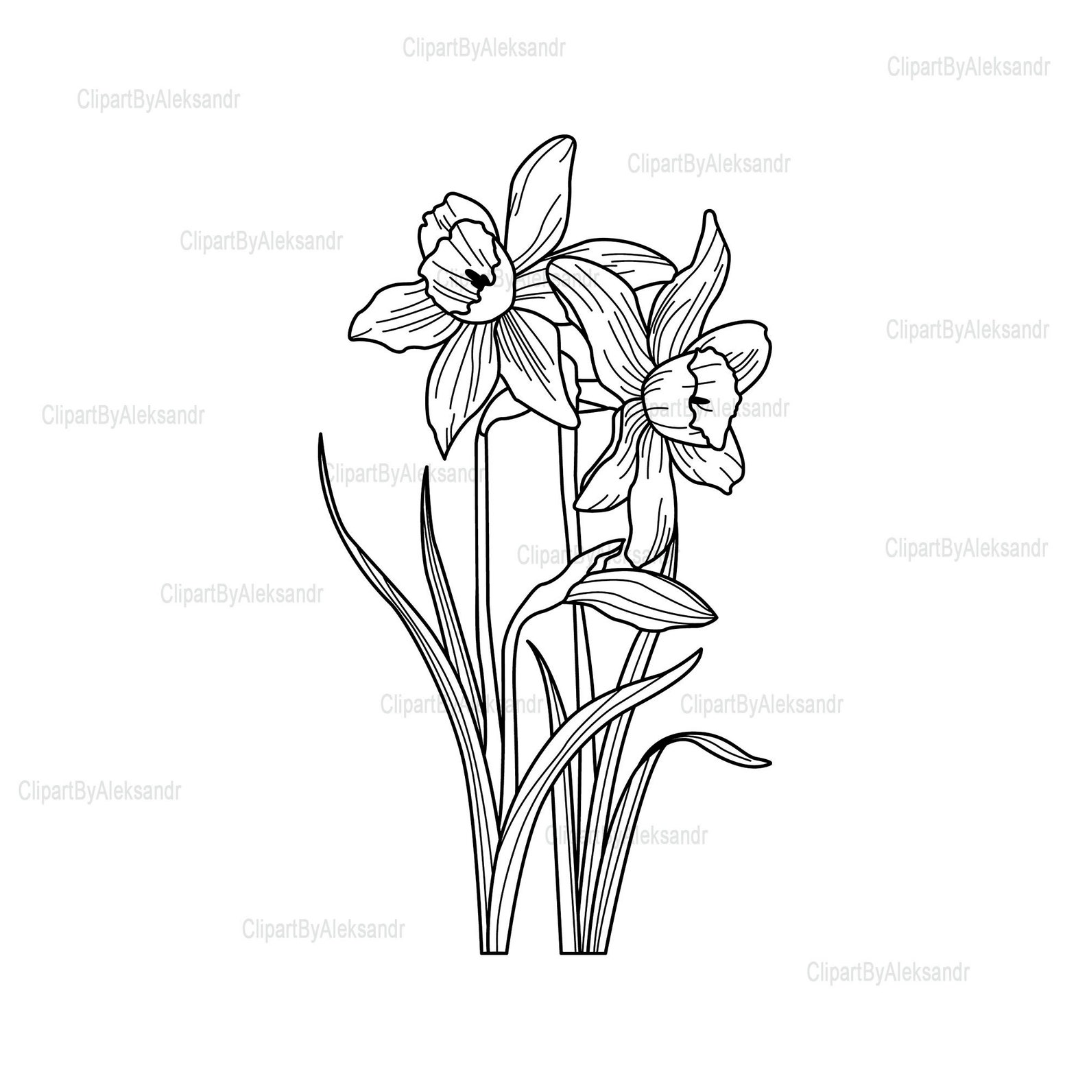 Bouquet of Daffodils Outline Svg | Etsy