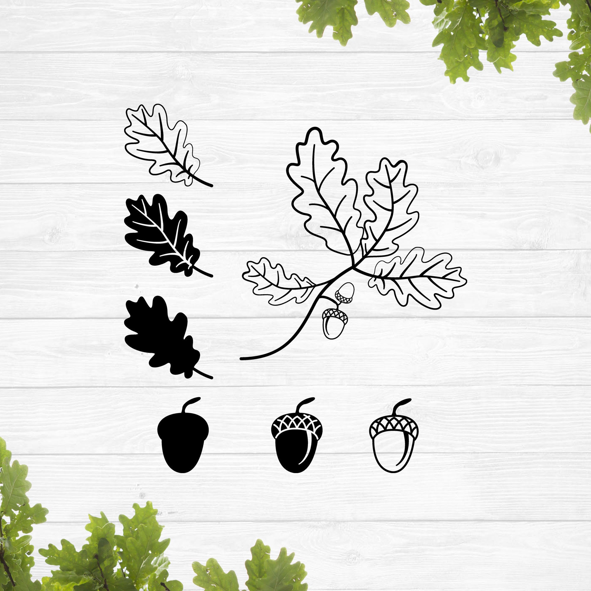 Oak Leaf Svg Acorn Svg Etsy