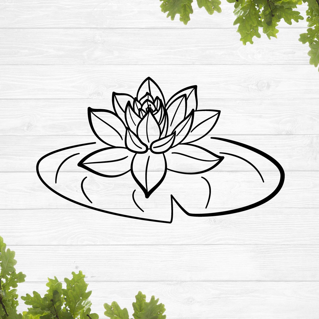 Water Lily Svg, Lily Pad Svg - Etsy