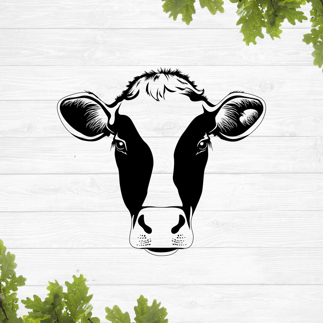 Cow Face Svg, Cow Head Svg, Heifer Svg, Cow Svg, Dxf, Cricut Silhouette ...