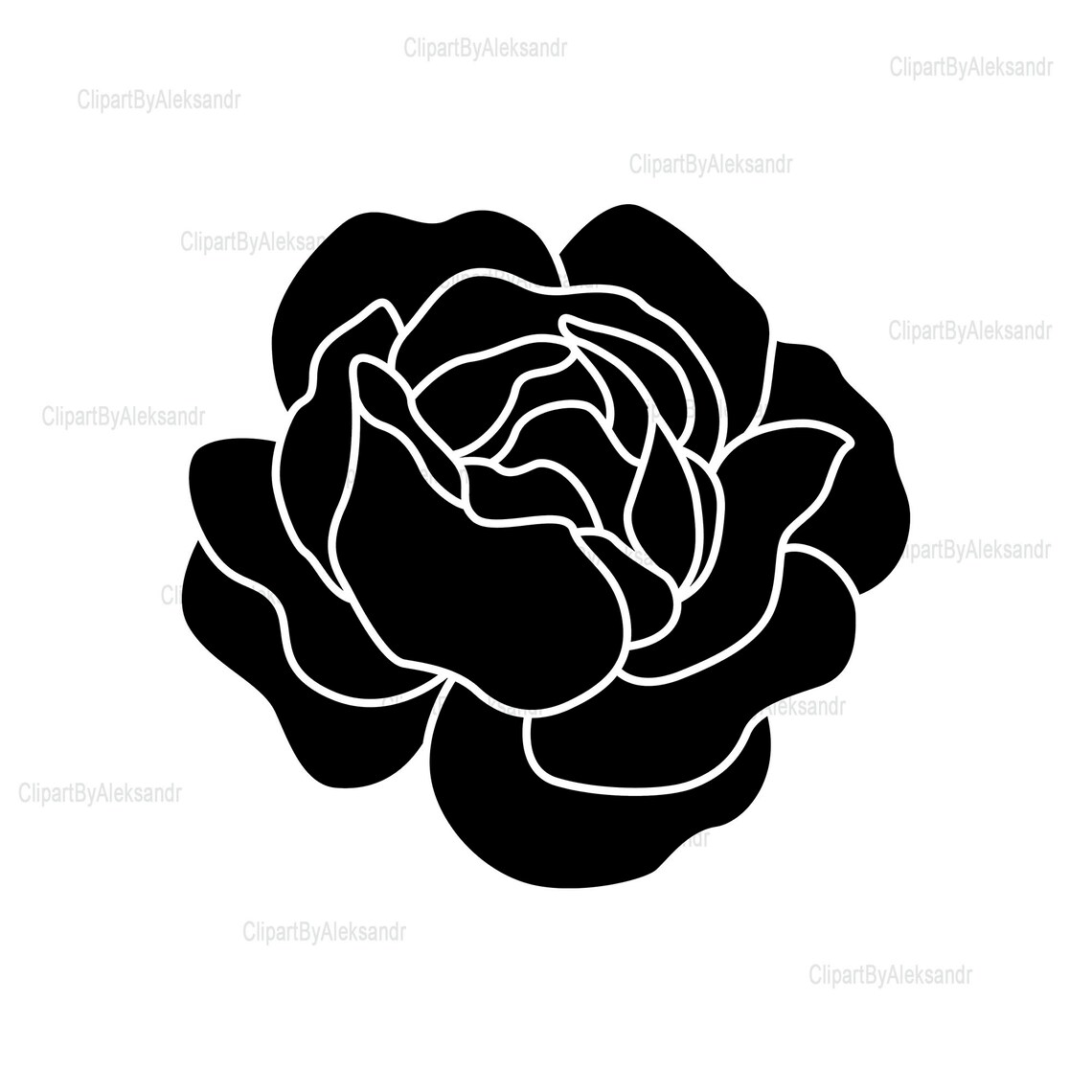 Peony Svg Peony Flower Clipart Rose Svg Rose Flower Vector - Etsy
