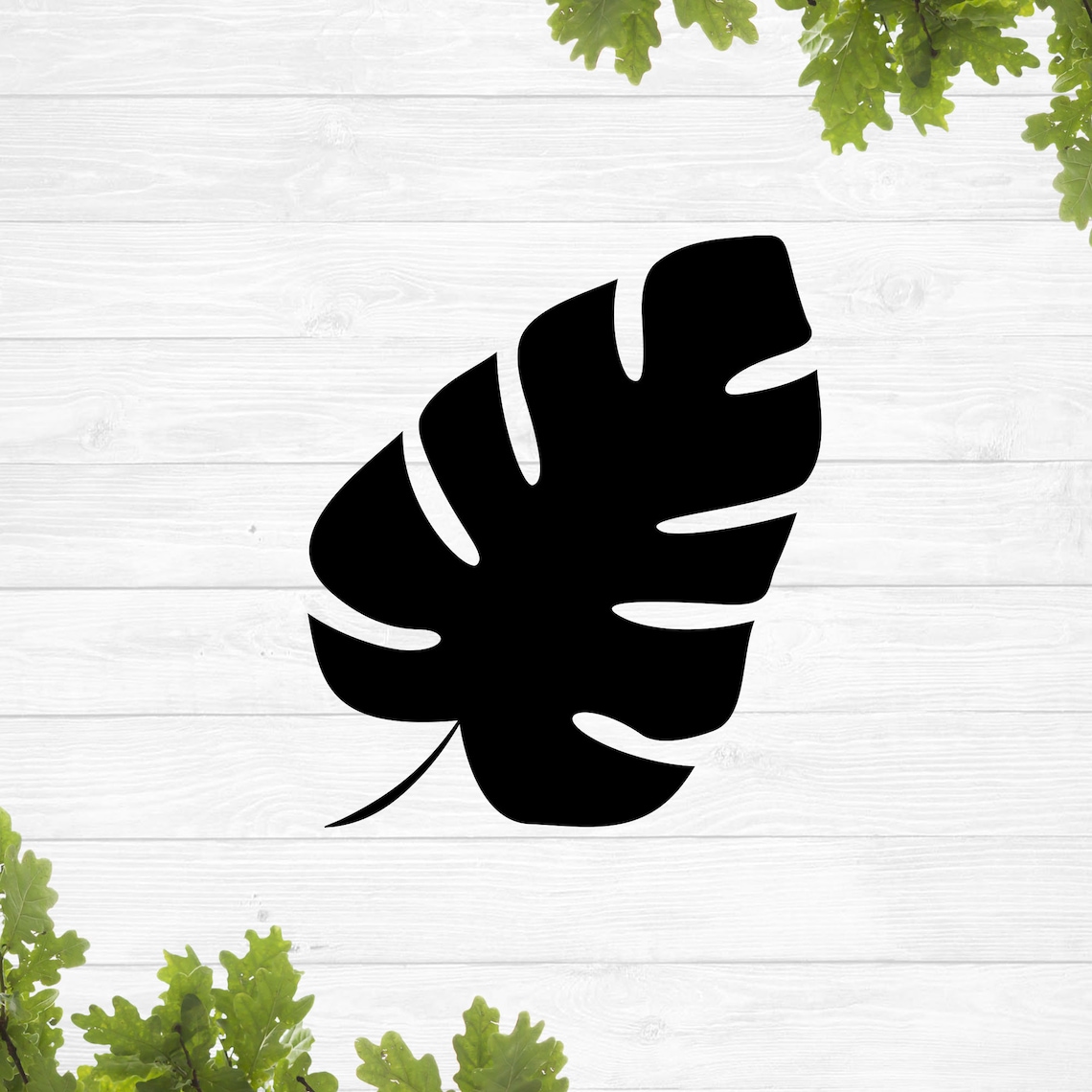 Hojas hawaianas svg hoja tropical svg hoja monstera svg - Etsy México